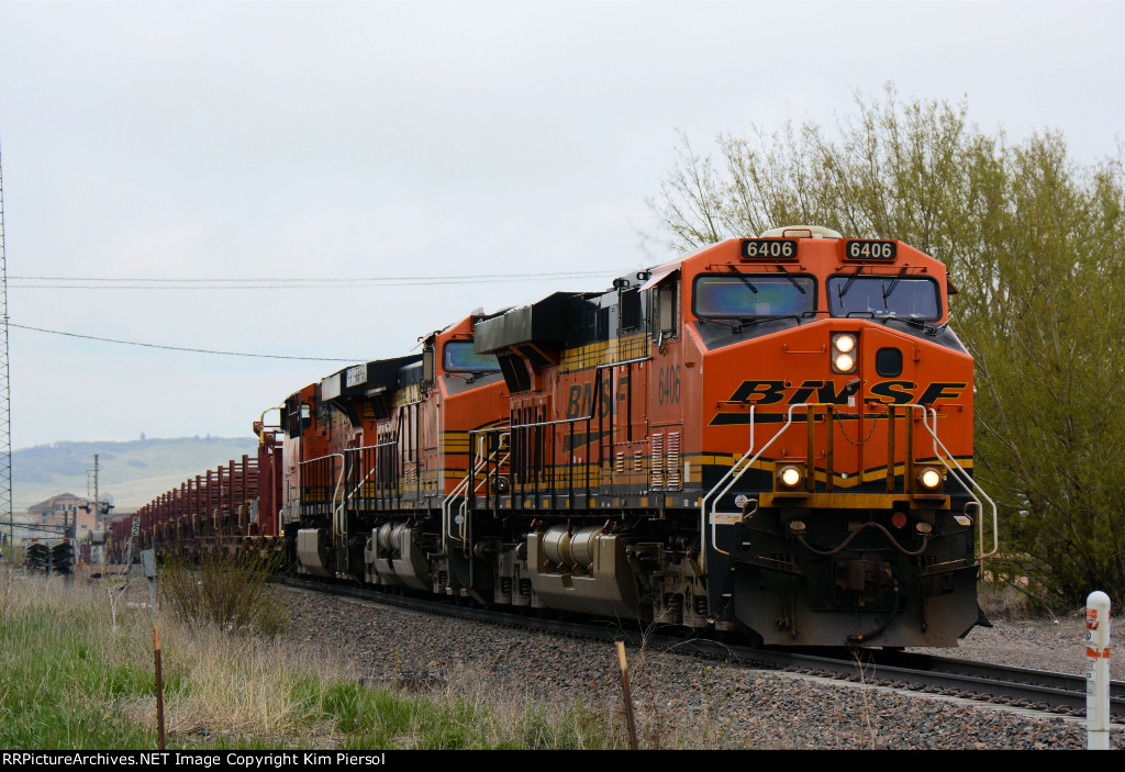 BNSF 6406 Rail Train
